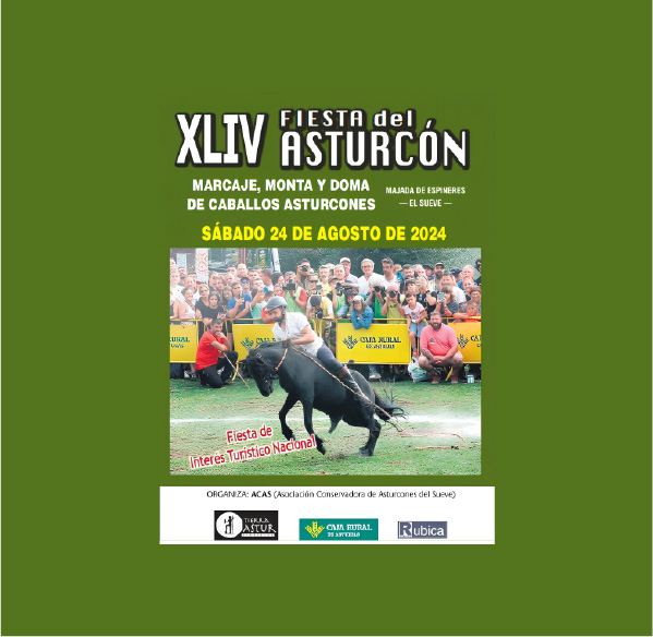 XLIV Fiesta del asturcón - Tierra Astur