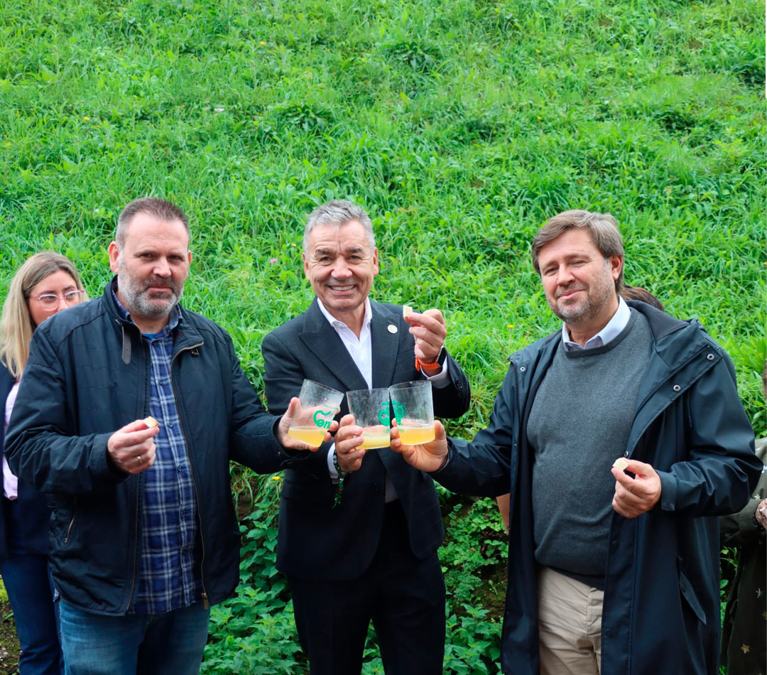 Gamonéu de oro - Tierra Astur